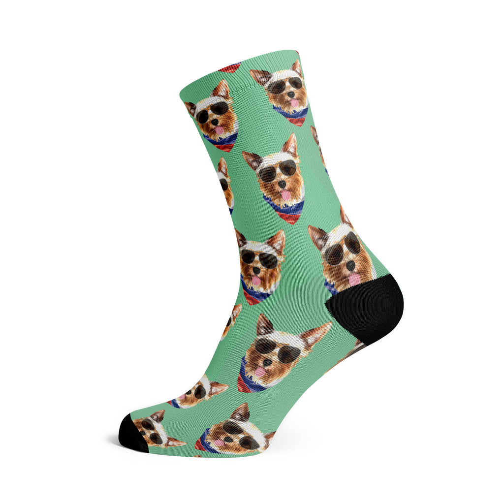 Yorkshire Terrier Socks | Bandoggies