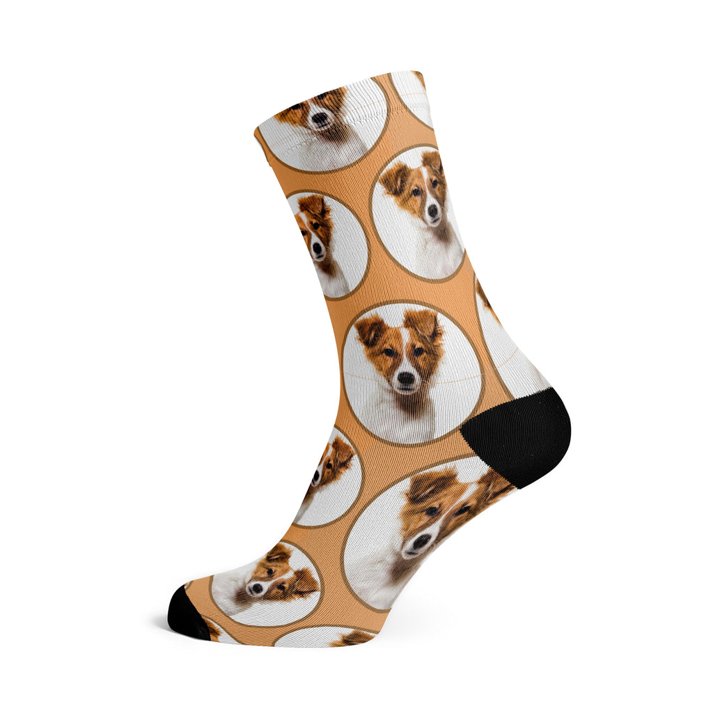 Australian Shepard Socks | Bandoggies