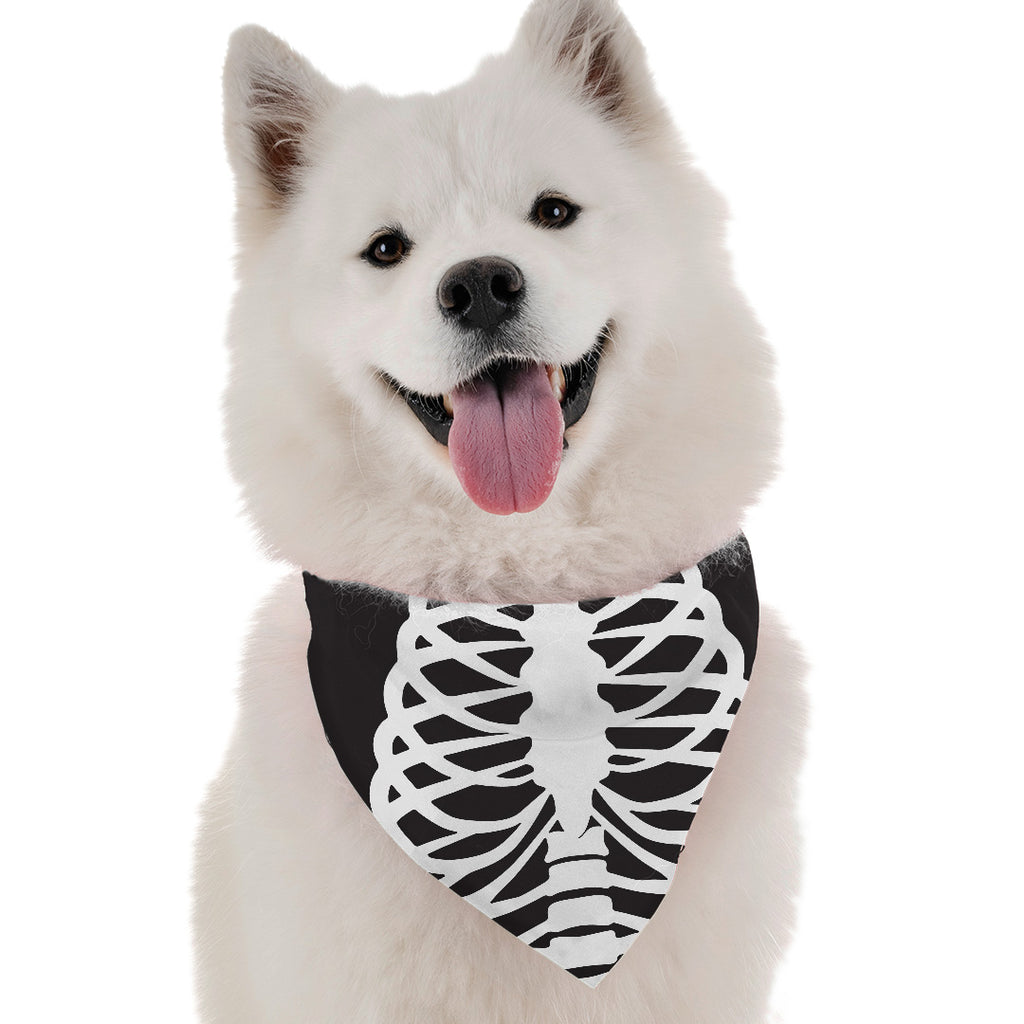 Skeleton Costume | Bandoggies