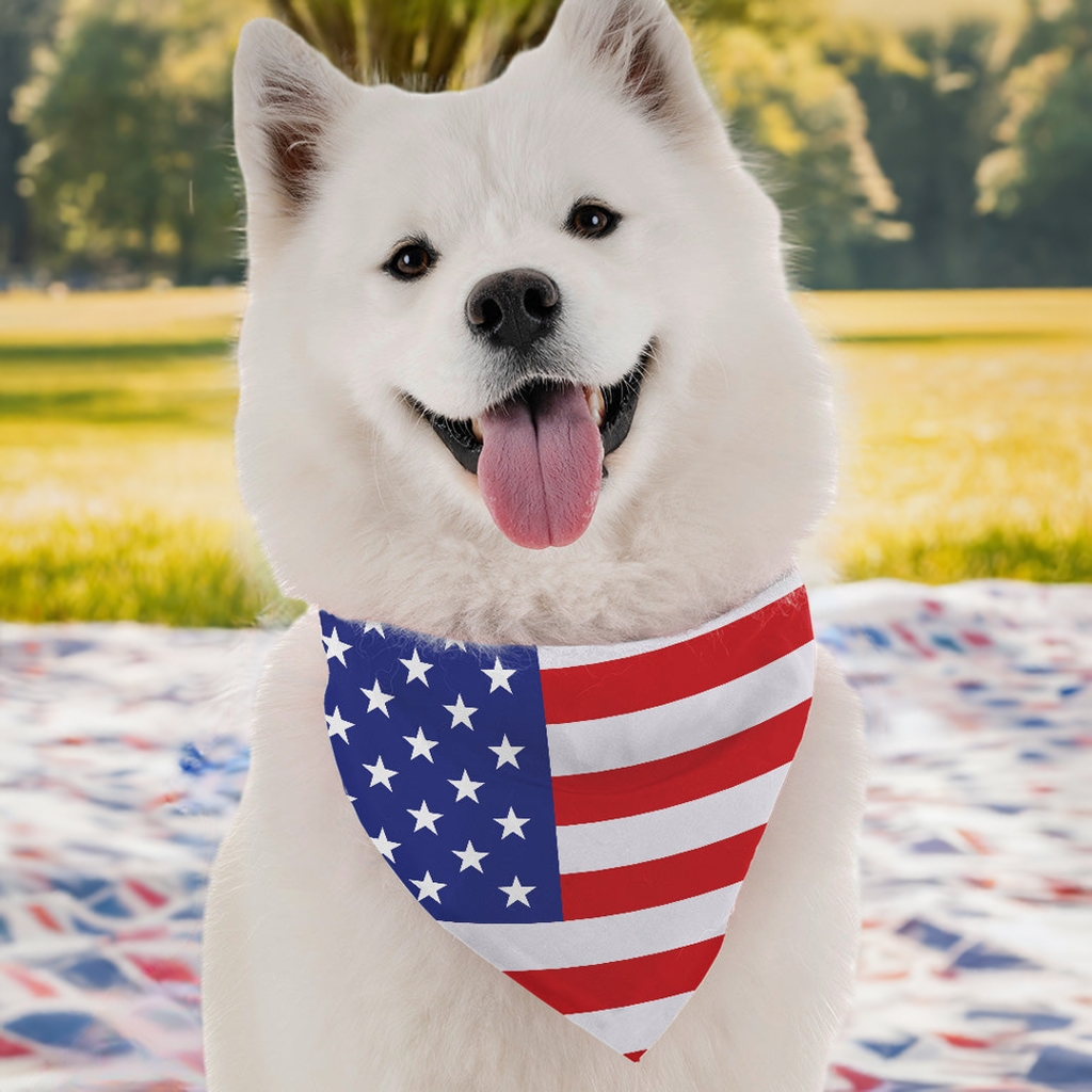 All American | Bandoggies